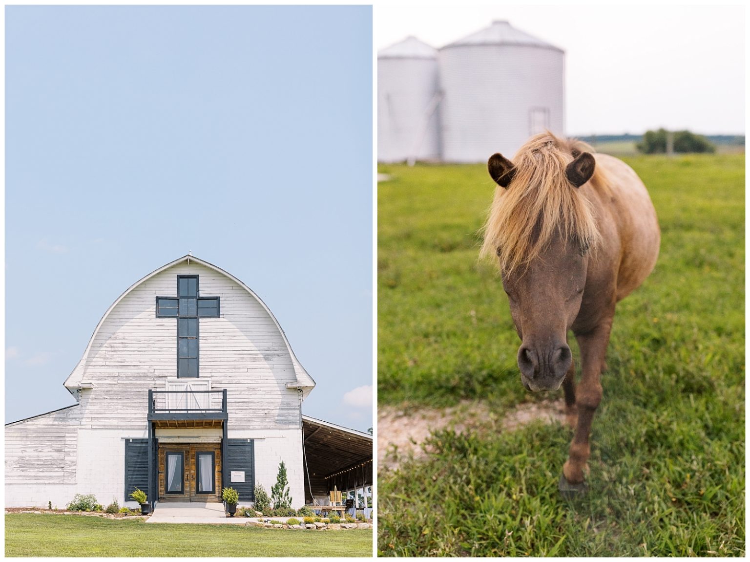 An Amazing Graze Barn Wedding at First Fruits Farm | Patricia & Matt