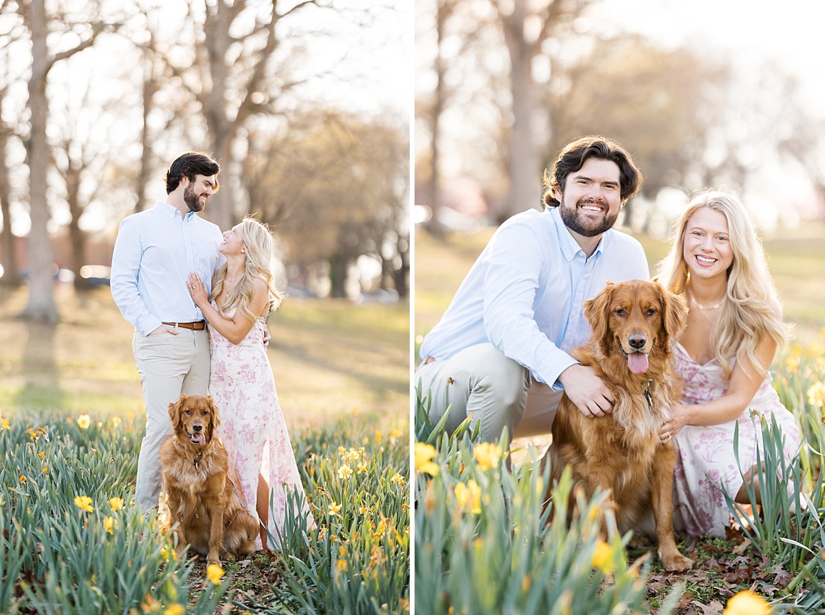 Dogs of 2022 - SHP Annual Recap | Raleigh NC Photographer