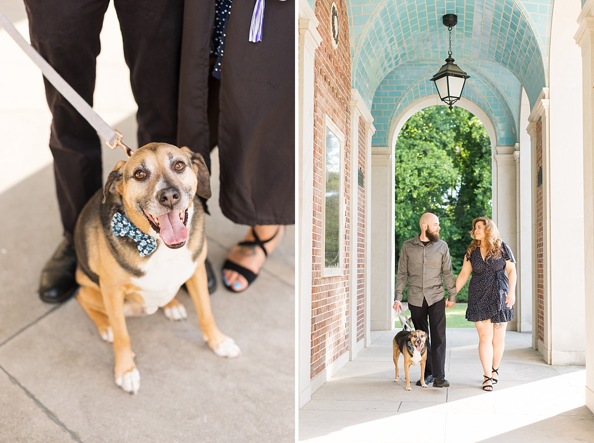Dogs of 2022 - SHP Annual Recap | Raleigh NC Photographer