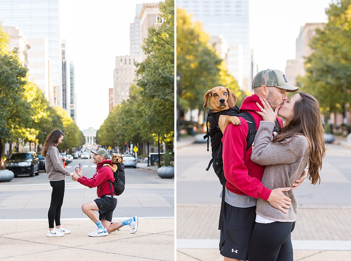 Dogs of 2022 - SHP Annual Recap | Raleigh NC Photographer