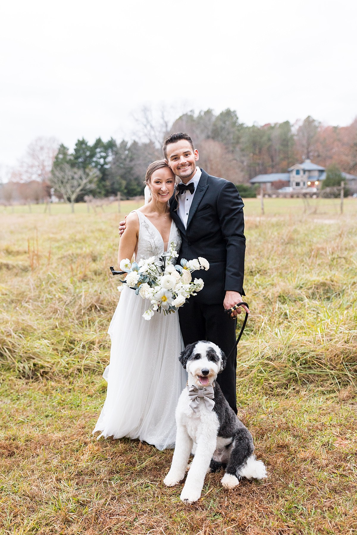 Dogs of 2022 - SHP Annual Recap | Raleigh NC Photographer