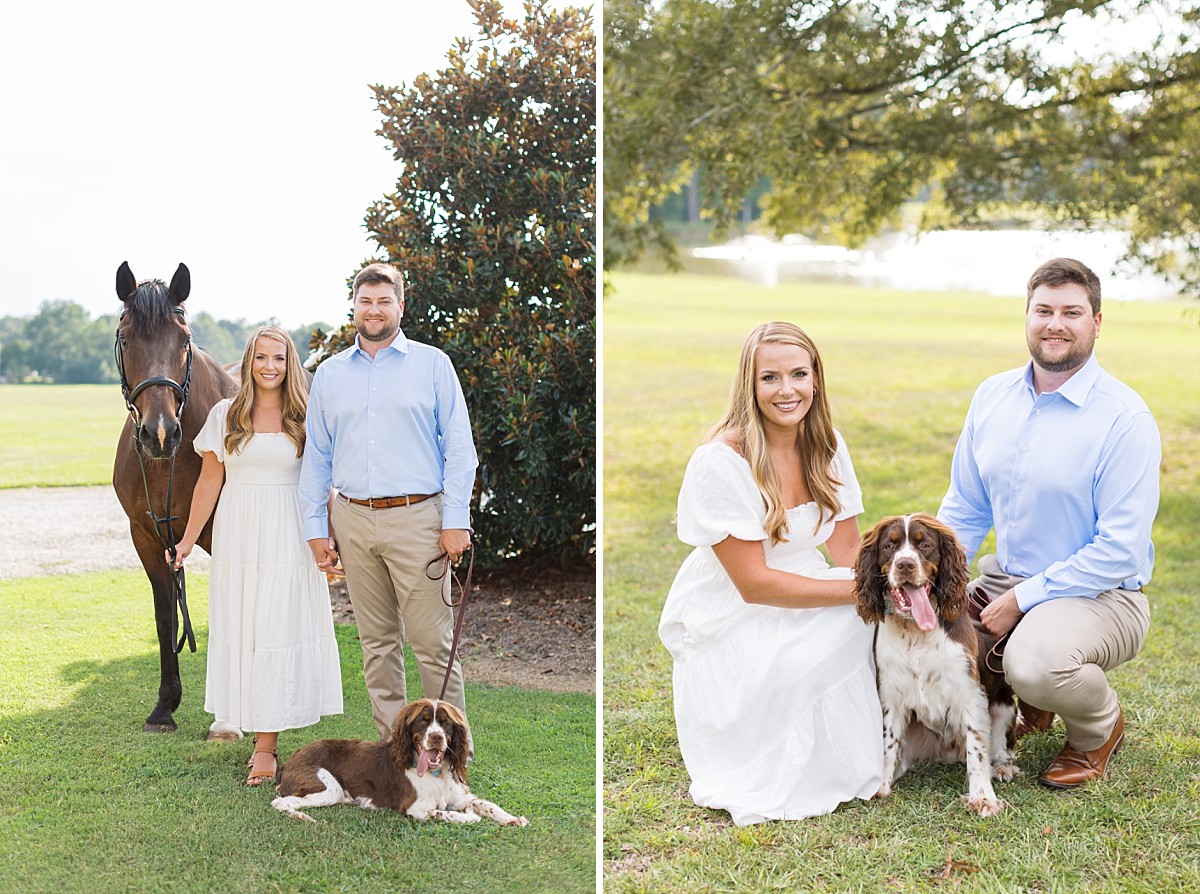 Dogs of 2022 - SHP Annual Recap | Raleigh NC Photographer